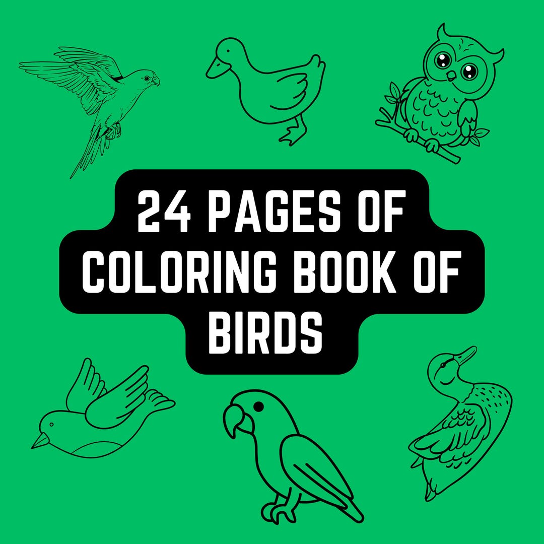 24 Pages of Coloring Book of Birds - Etsy
