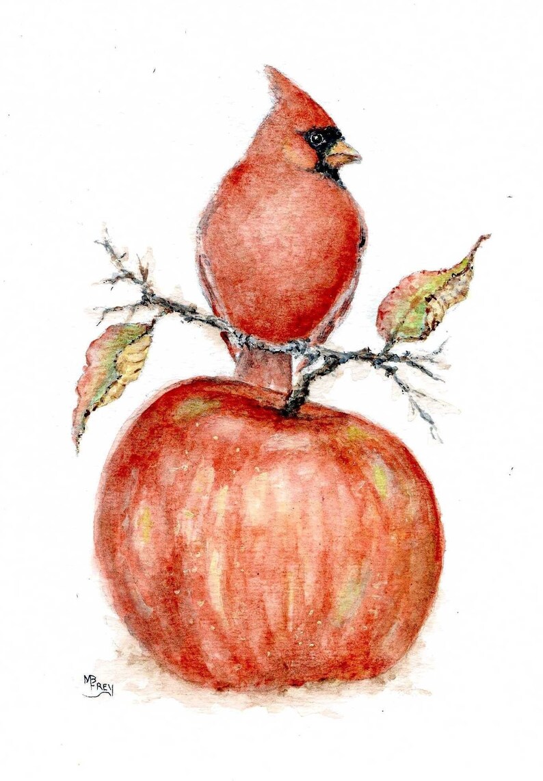 Cardinal on Apple/original Watercolor and Ink Painting - Etsy