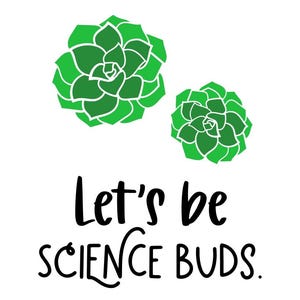 Science Classroom Posters Decoration Plant Theme With Puns for Bulletin ...