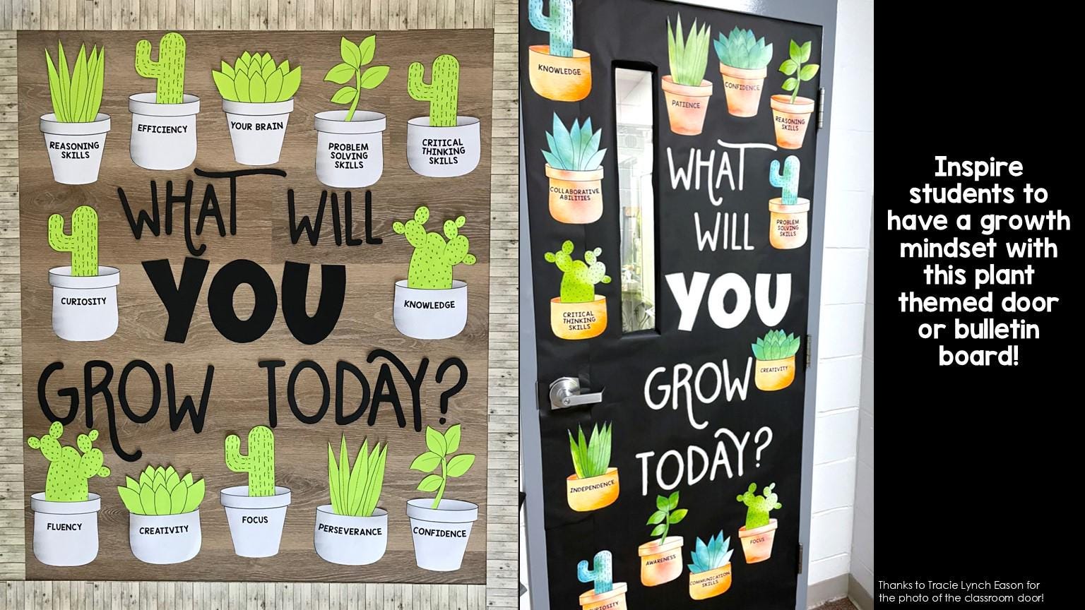 Plant Theme Bulletin Board or Classroom Door With Succulents and Cactus ...