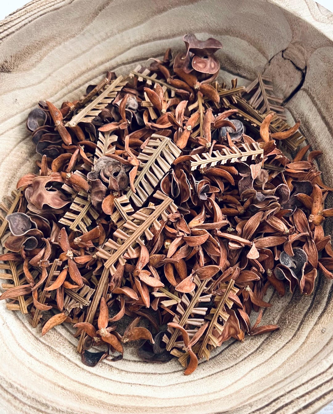 Combination Curly Pods Fishbone Stems Cedar Cones | Dried Floral ...