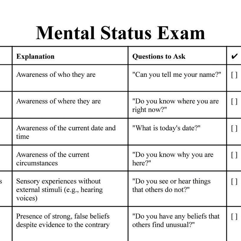 Mental Status Exam Cheat Sheet - Etsy