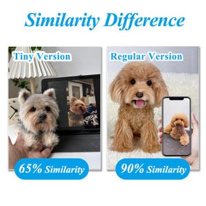 Custom Life Like Dog Plushie Clone - Etsy