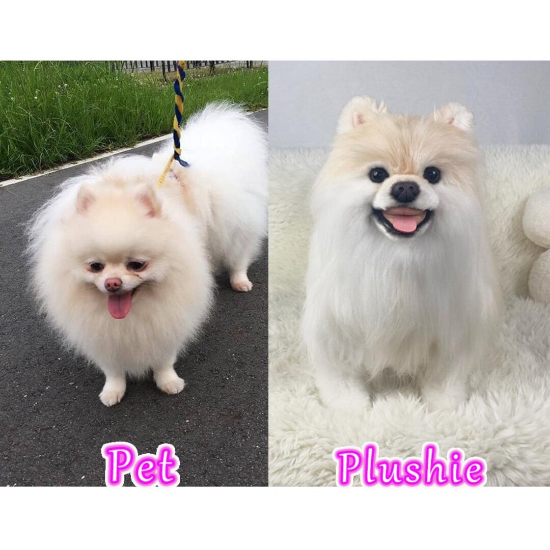 Custom Life Like Dog Plushie Clone - Etsy Canada