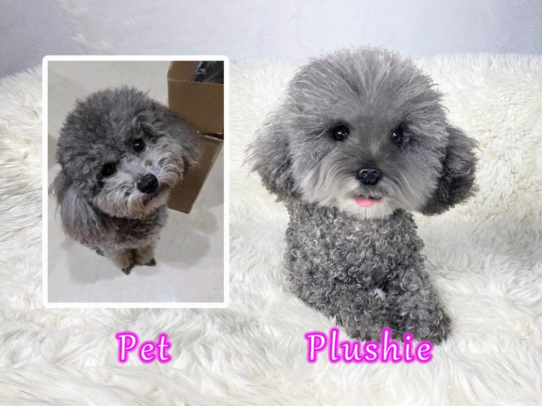Custom Life Like Dog Plushie Clone - Etsy
