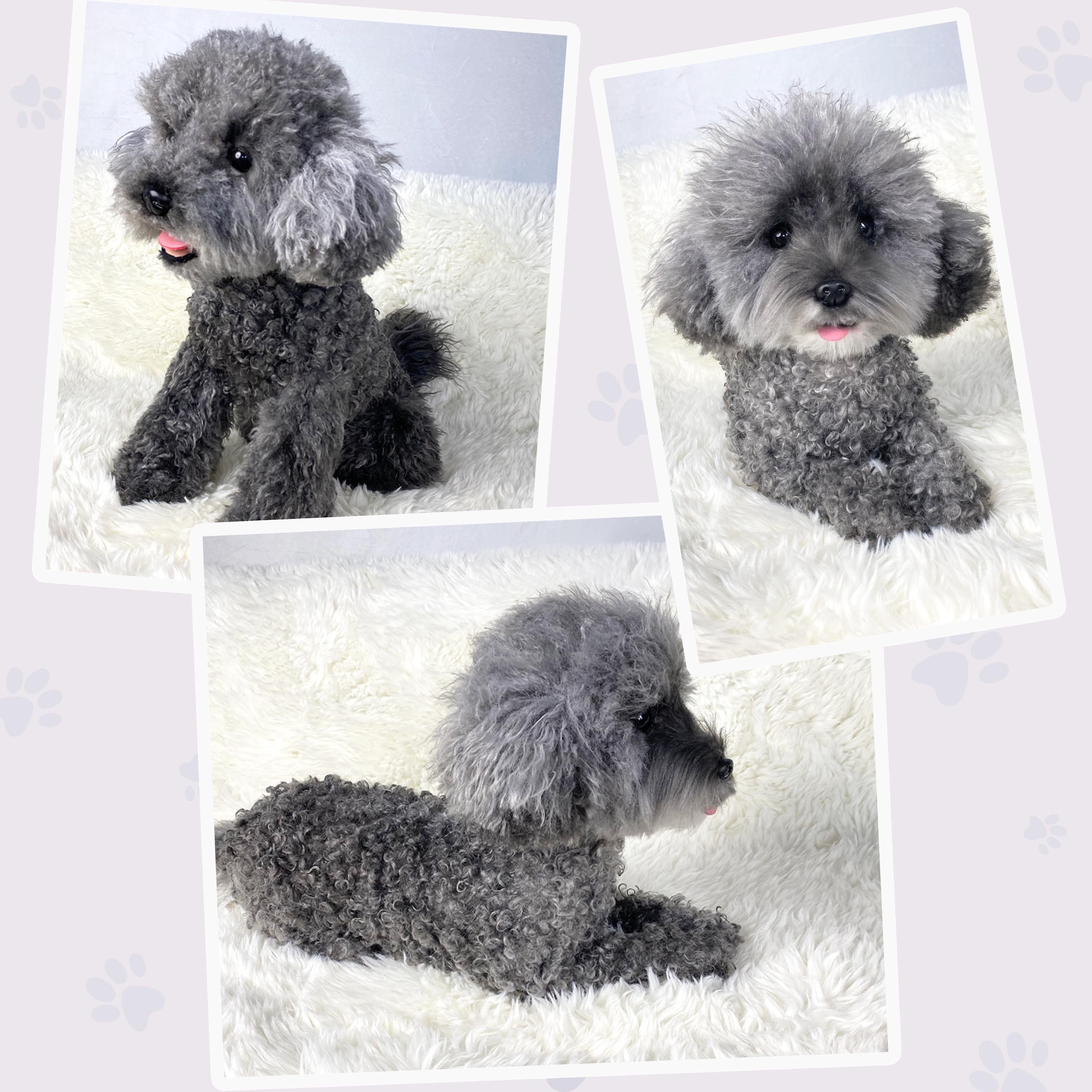 Custom Life Like Dog Plushie Clone - Etsy