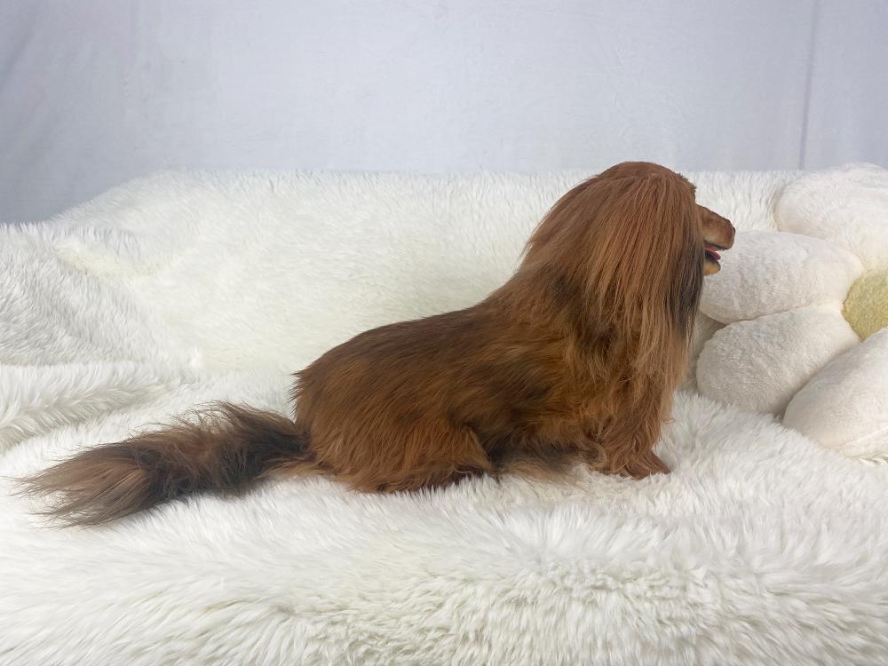 Custom Life Like Dog Plushie Clone - Etsy