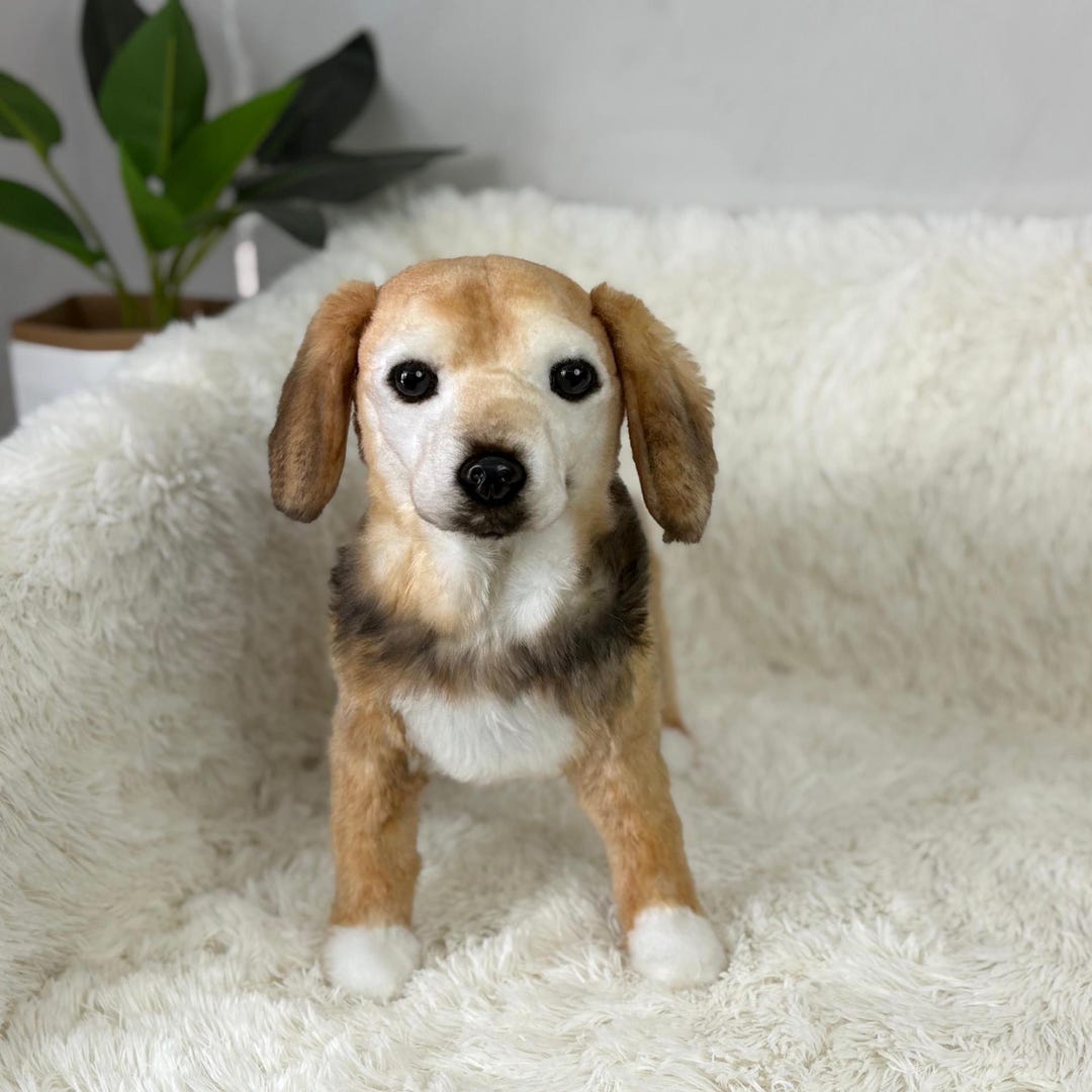 Custom Life Like Dog Plushie Clone - Etsy