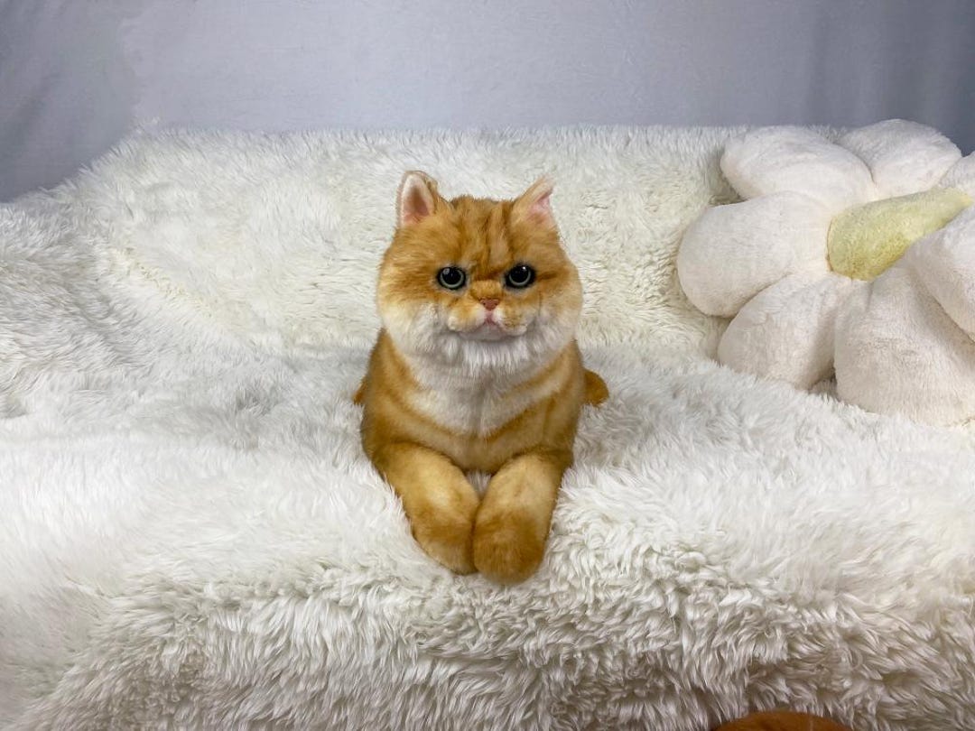 Custom Life Like Cat Plushie Clone - Etsy