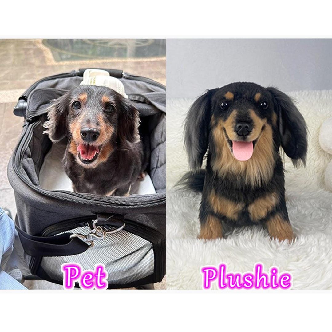 Custom Life Like Dog Plushie Clone - Etsy