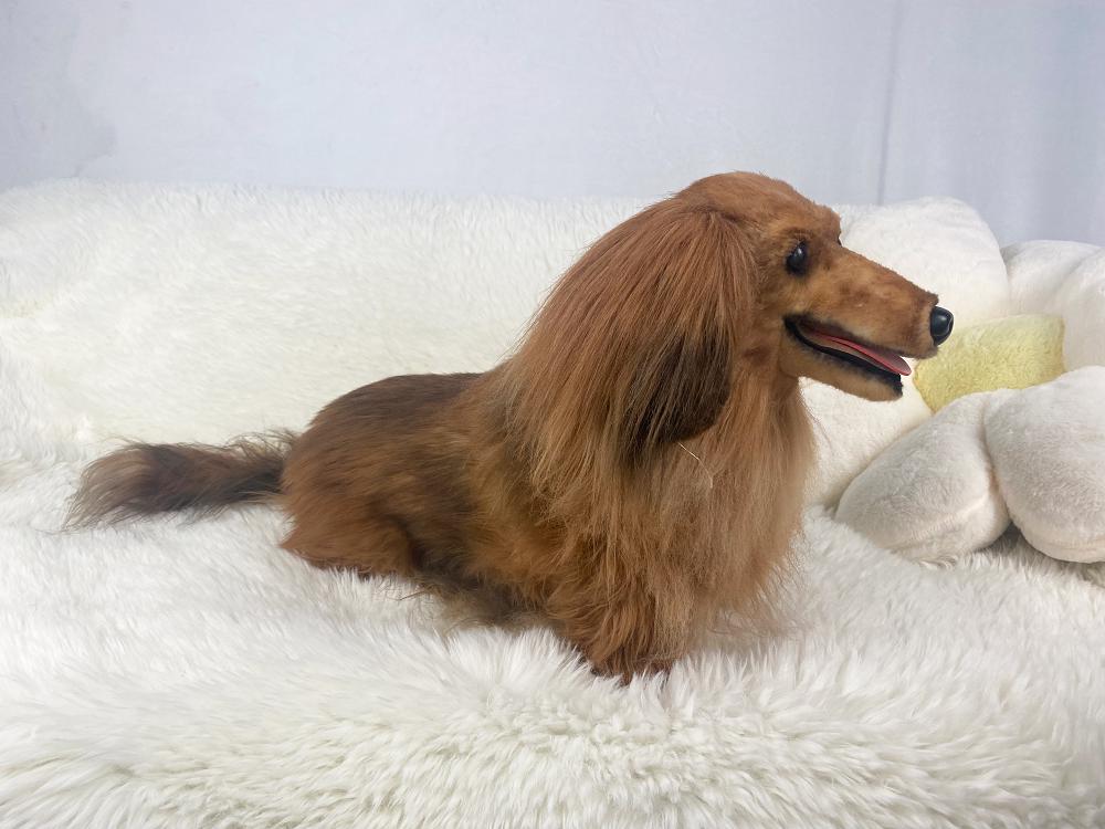 Custom Life Like Dog Plushie Clone - Etsy