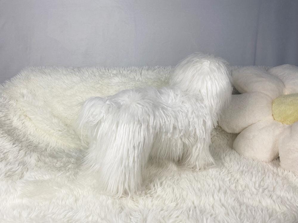 Custom Life Like Dog Plushie Clone - Etsy