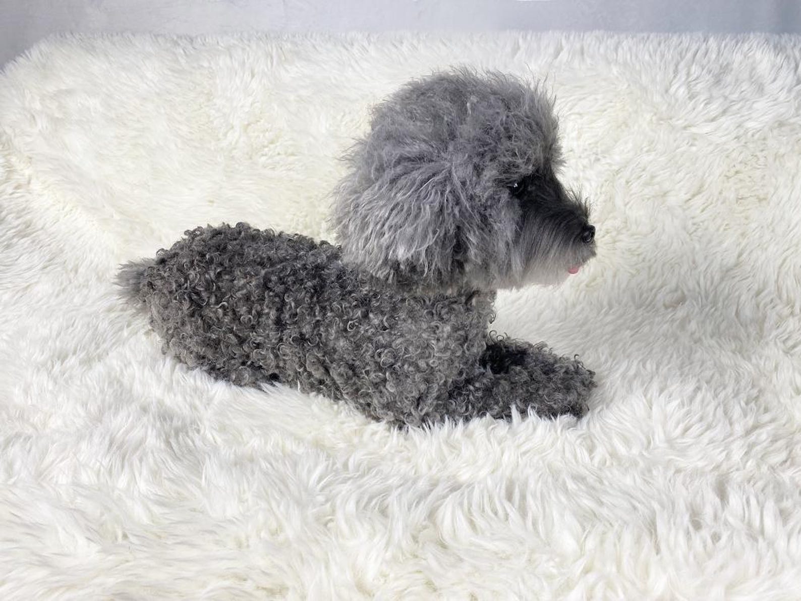 Custom Life Like Dog Plushie Clone - Etsy