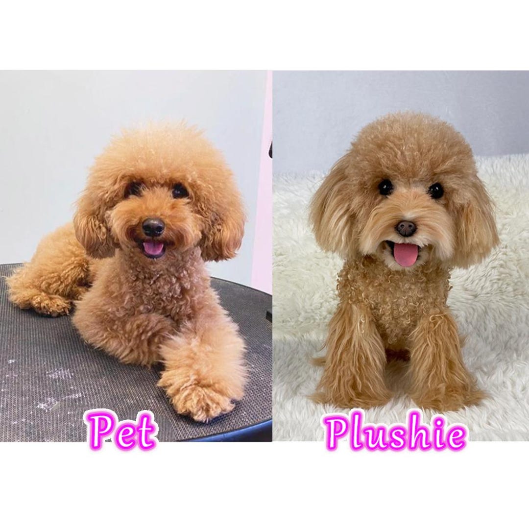 Custom Life Like Dog Plushie Clone - Etsy