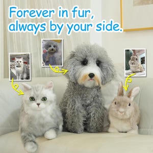 Custom Life Like Dog Plushie Clone - Etsy