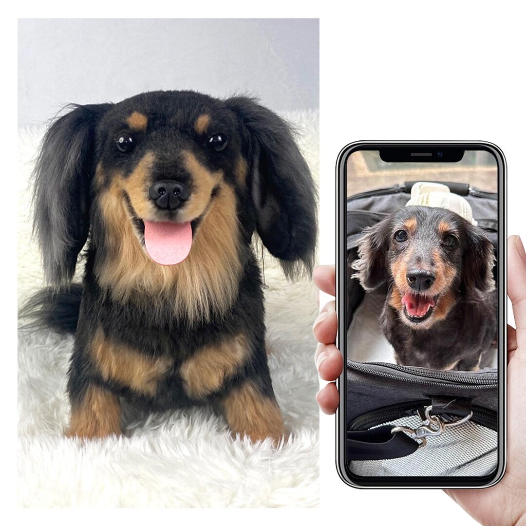 Custom Life Like Dog Plushie Clone - Etsy