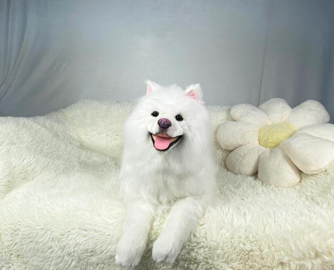 Custom Life Like Dog Plushie Clone - Etsy