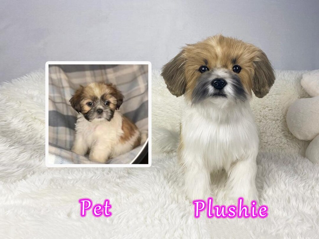 Custom Life Like Dog Plushie Clone - Etsy