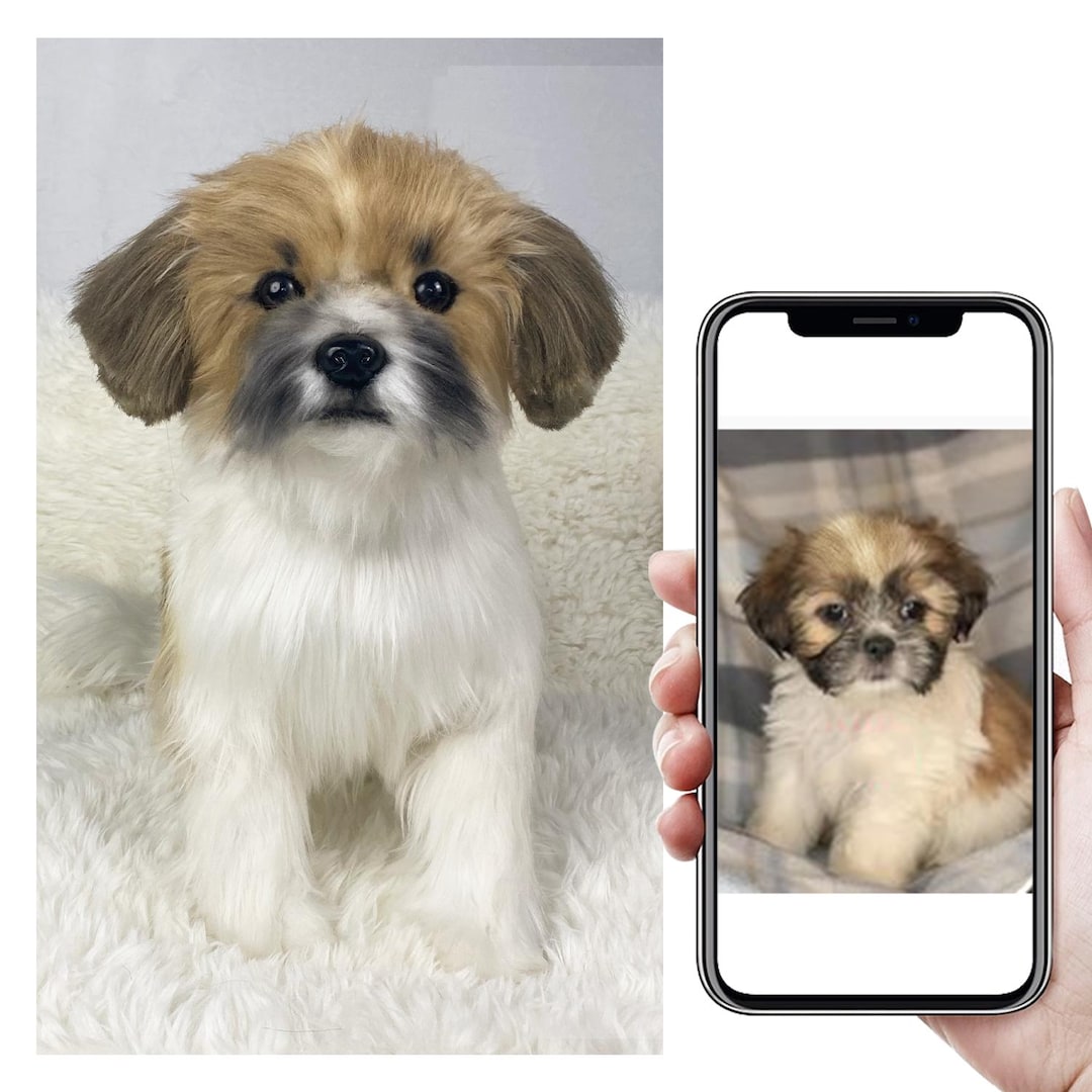 Custom Life Like Dog Plushie Clone - Etsy