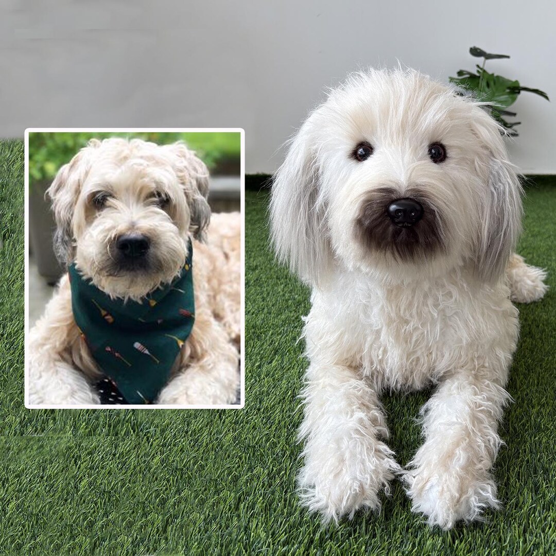 Custom Life Like Dog Plushie Clone - Etsy