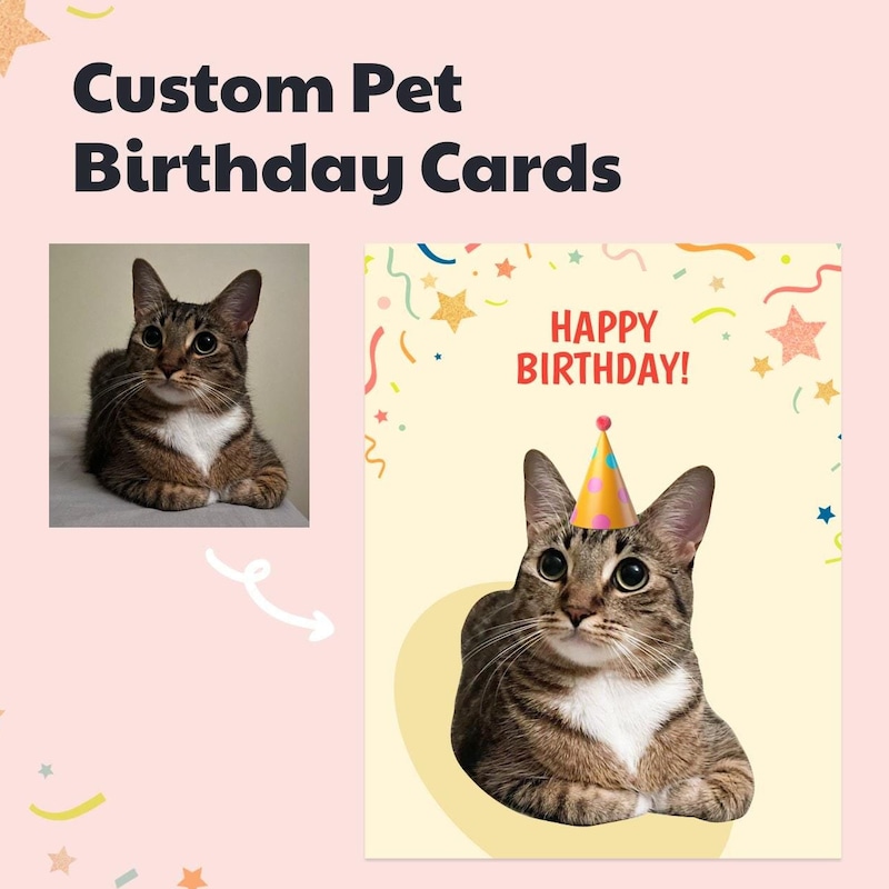 Pet Cards - Etsy
