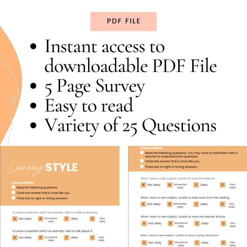 Learning Style Survey | Transition IEP Survey | Printable PDF - Etsy