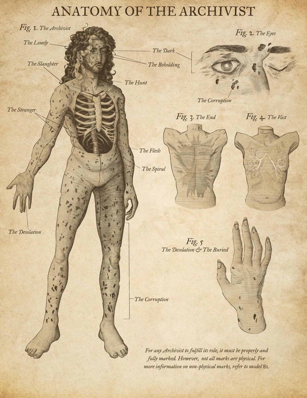 Anatomy of the Archivist 11x14 Print - the Magnus Archives - Etsy