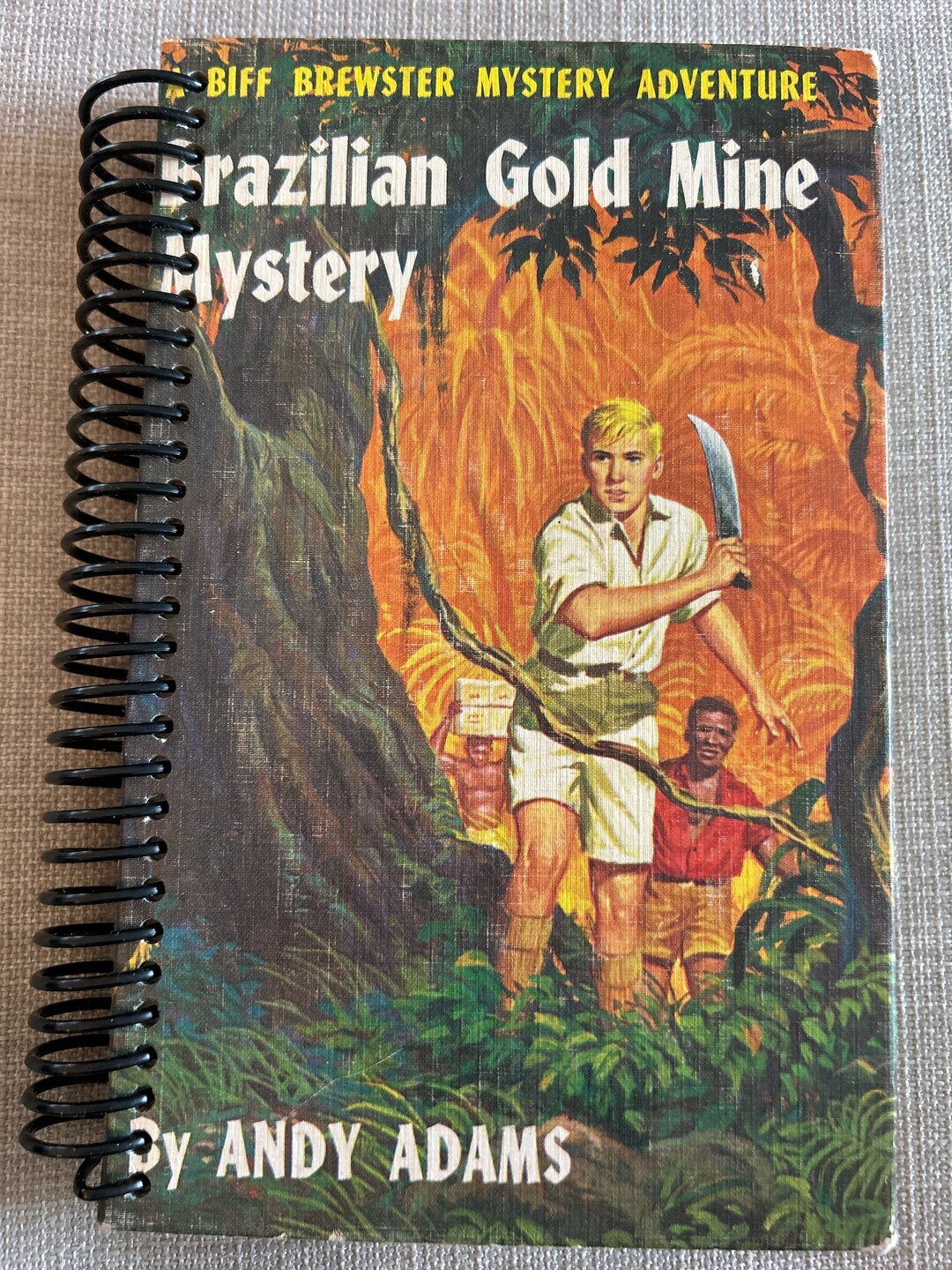 1960 “biff Brewster-brazilian Gold Mine Mystery” Upcycled Vintage Book ...