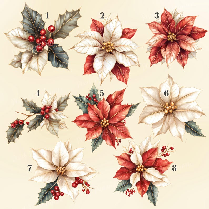 Elegant Poinsettia Clip Art Collection – Sophisticated Christmas Floral ...