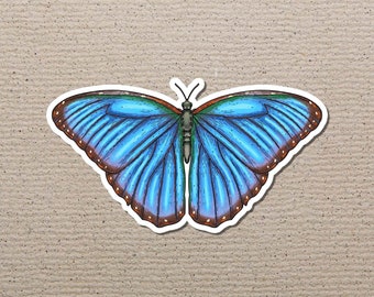 Blue Morpho Butterfly Sticker - Etsy