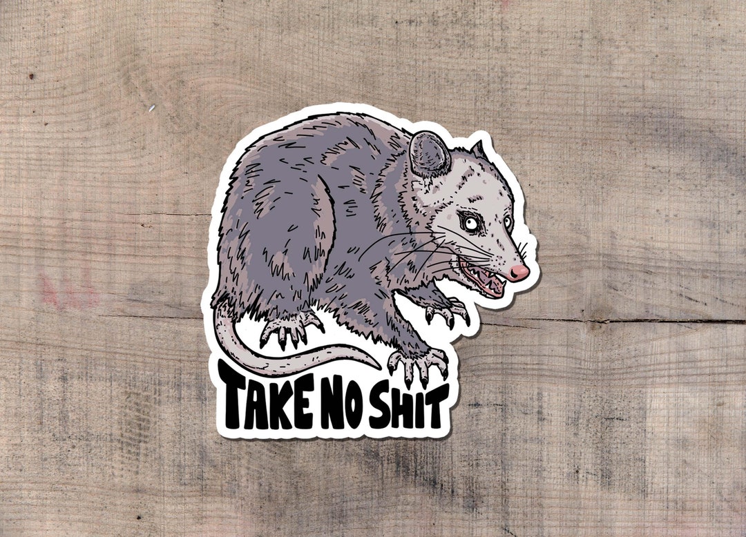 Take No Shit Sticker, Bullying, Take No Shit, Anti Racism, Leftist ...