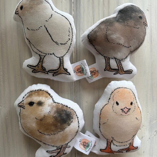 Baby Chick - Etsy