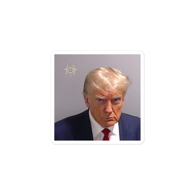 TRUMP MUGSHOT STICKER Maga 2024 Never Surrender Bumper Sticker Decal - Etsy