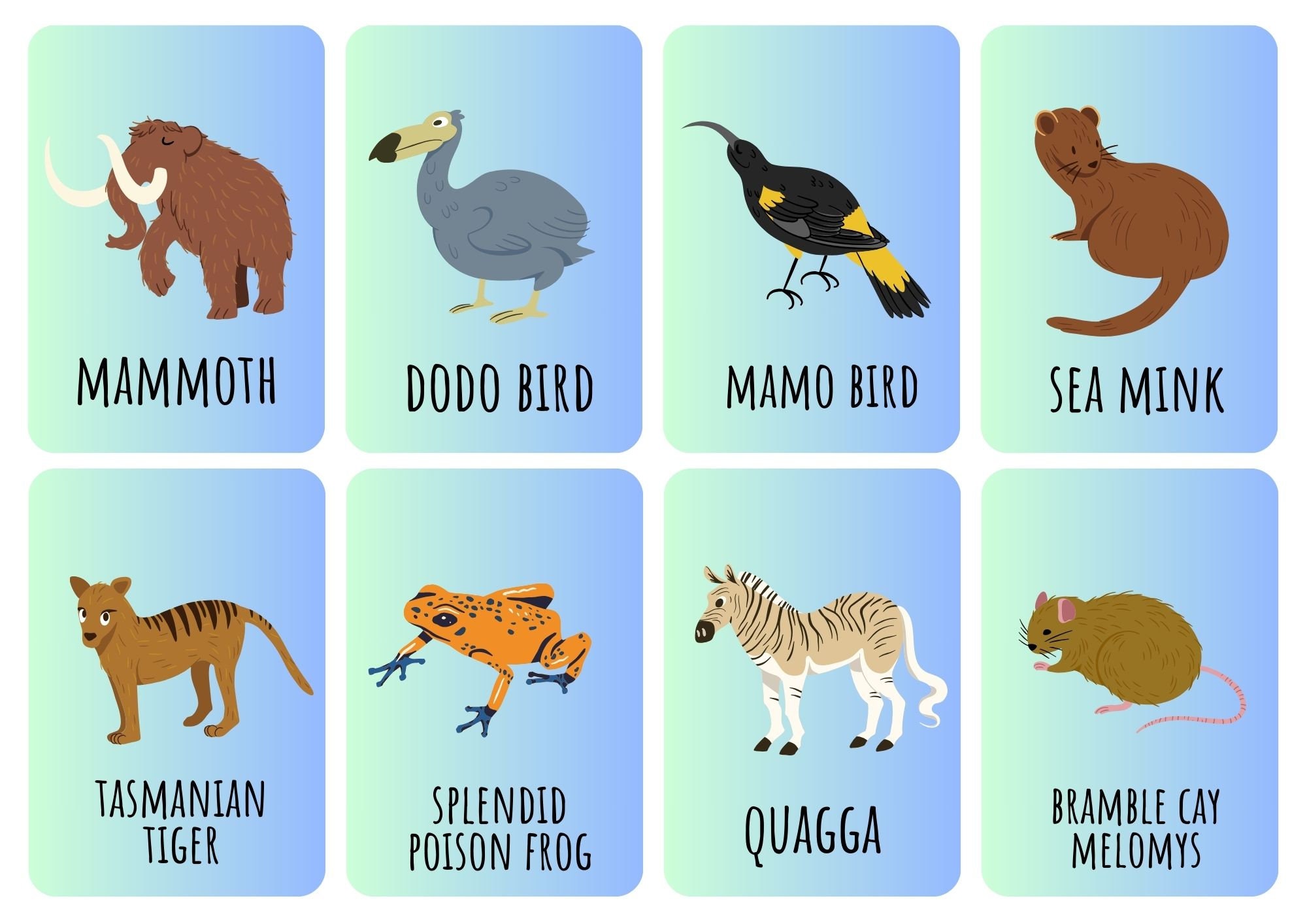 PRINTABLE ANIMAL FLASHCARDS - Etsy