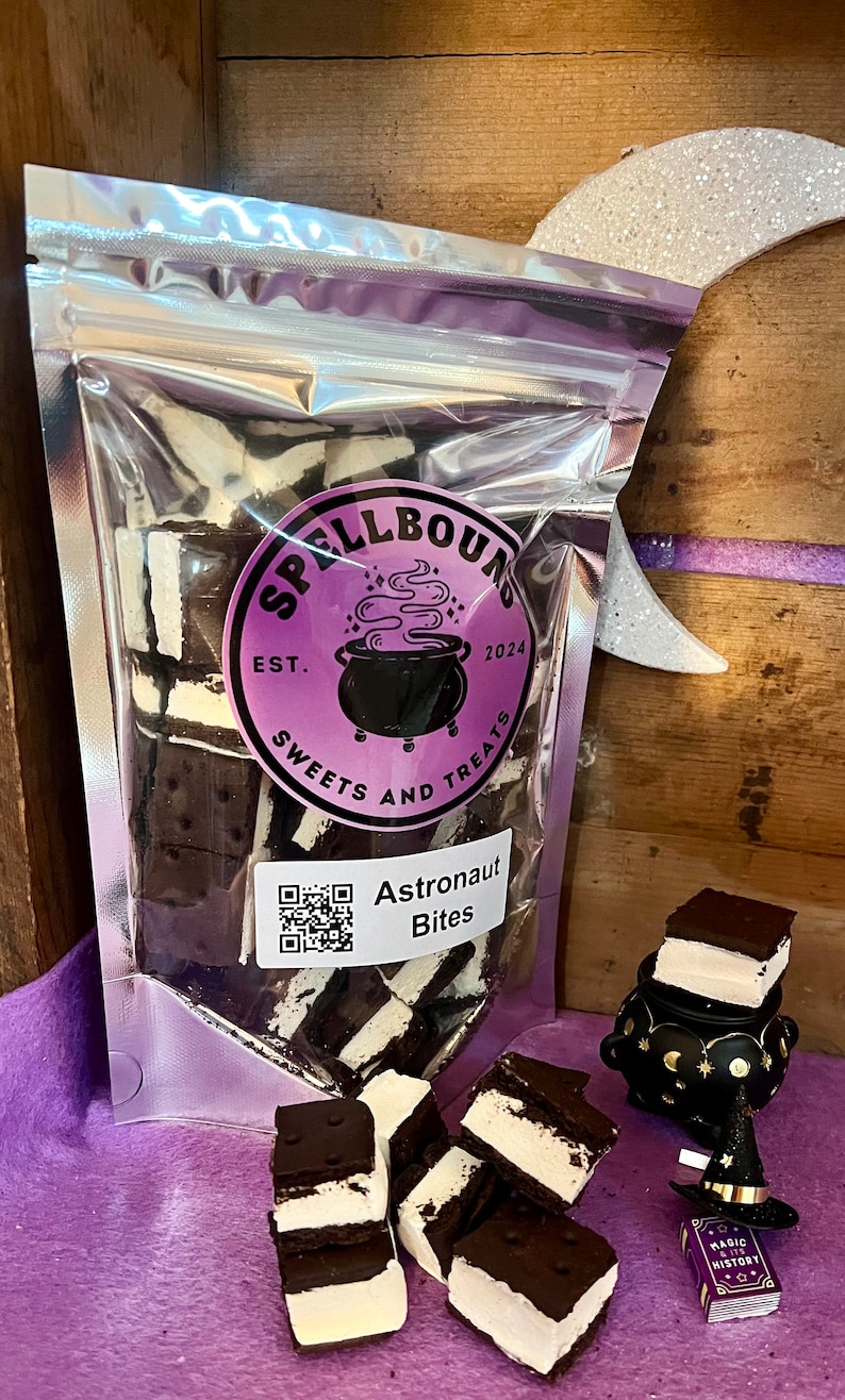 Astronaut Bites Freeze Dried Ice Cream Sandwiches - Etsy