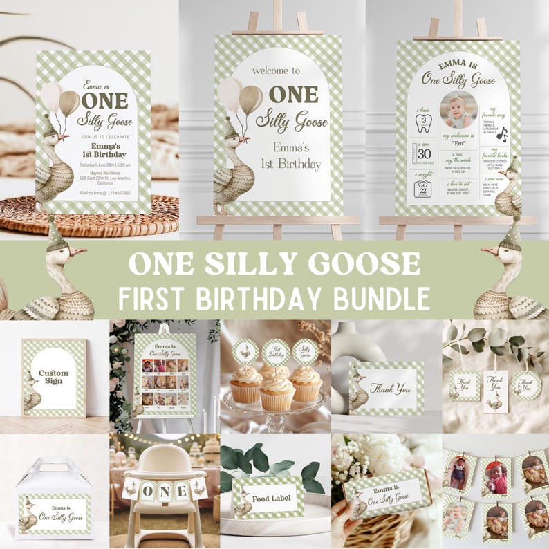 One Silly Goose Bundle, First Birthday Silly Goose Theme, One Silly ...