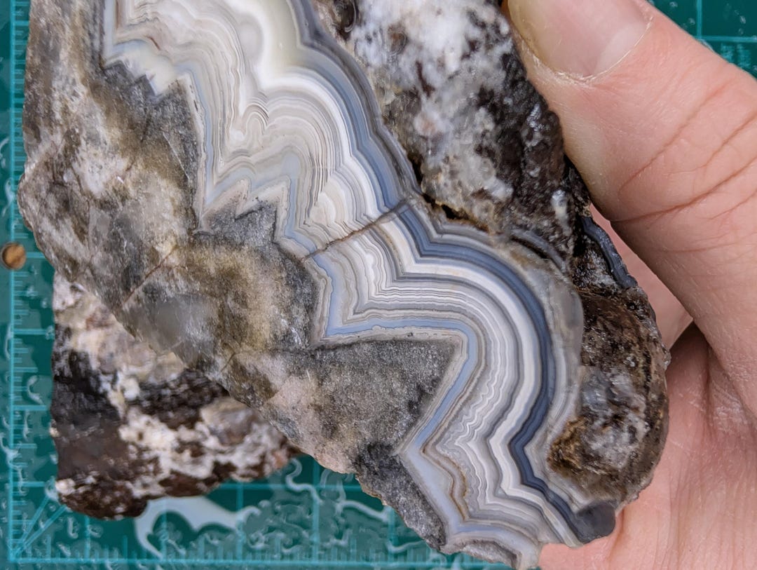 Tuxedo Lace Agate Bookend Pair | Face Cut Agate Slabs for Collector ...