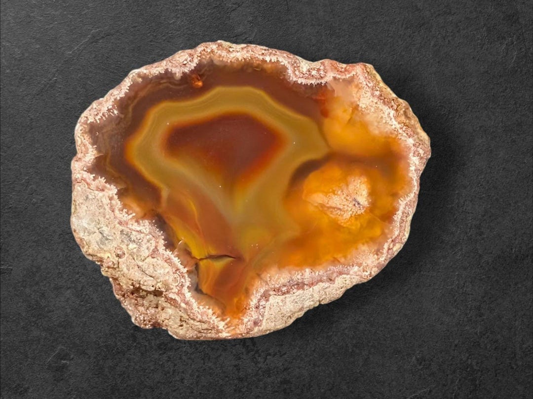 Condor Agate Collector Specimen: Mirror Polished Banded Agate ...