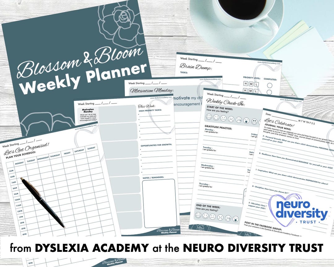 Weekly Planner for You and Your Young Person With Dyslexia - Etsy