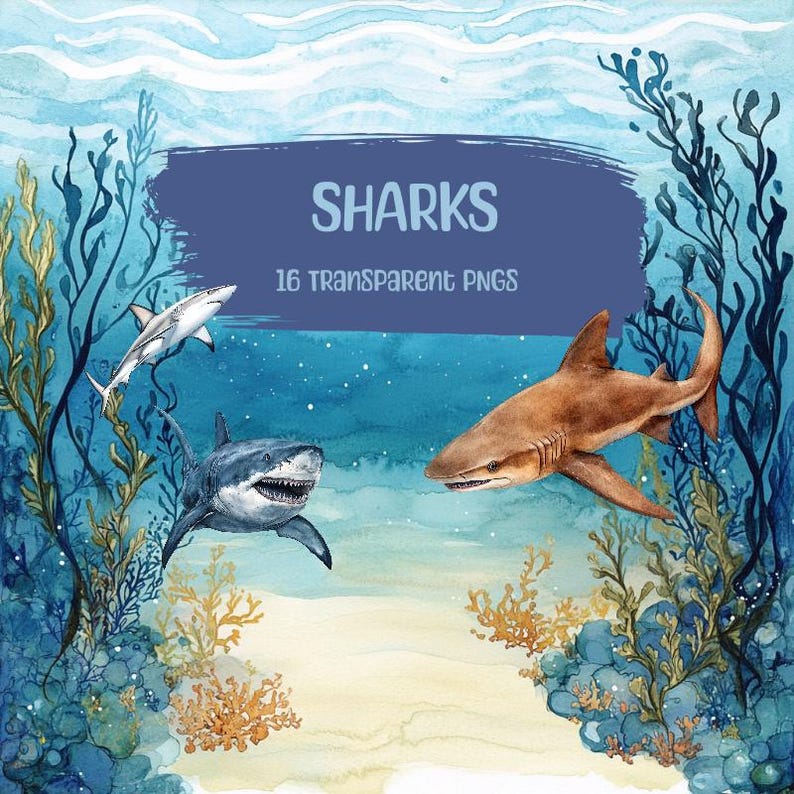 Watercolor Shark Clipart, Shark Illustrations, Ocean Animals Clipart ...