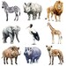 Watercolor Savannah Animals Clipart, Lion Clipart, Giraffe Clipart ...