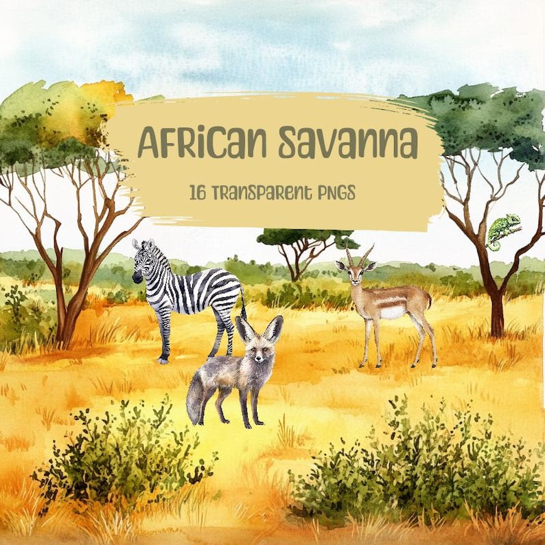 Watercolor Savannah Animals Clipart, Lion Clipart, Giraffe Clipart ...