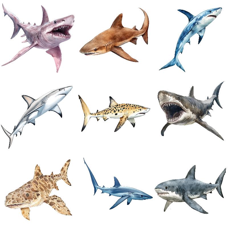 Watercolor Shark Clipart, Shark Illustrations, Ocean Animals Clipart ...