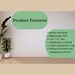 French Verb Conjugation Digital Prints Bundle 3 Sheets: Shoe Verbs ...