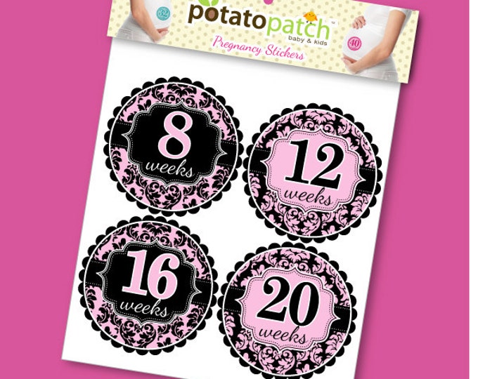 12 Weekly Pregnancy Belly Bump Stickers Pink Blue Orange Green Chevrons ...