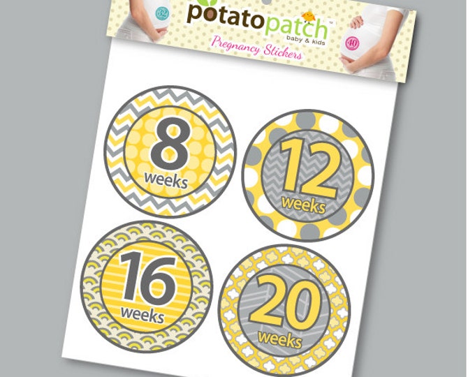 12 Weekly Pregnancy Belly Bump Stickers Pink Blue Orange Green Chevrons ...