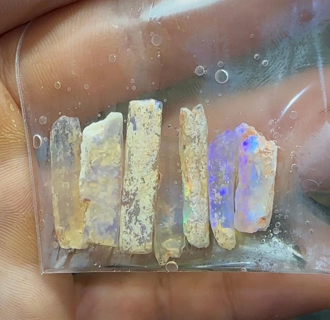 The 18.25cts - Lightning Ridge, Fossil Rough Opal Specimen. Australian ...