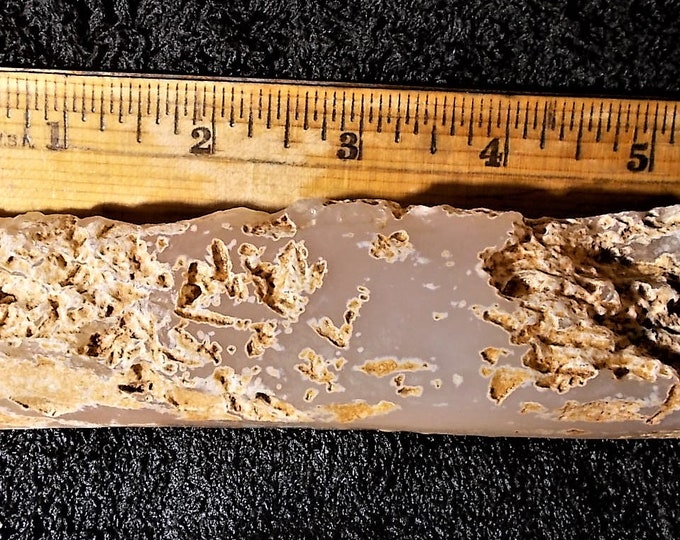 Paulina Pink Limb Cast Agate From Oregon - Etsy