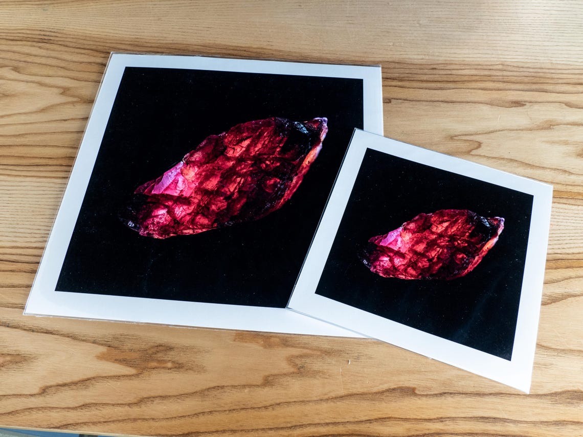 Giclée Print Ruby 2023 8x8 12x12 or 14x14 Art for the Home, Anniversary ...