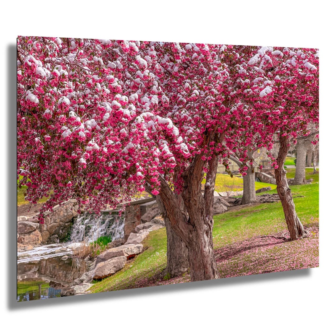 Cherry Blossom Wall Art, Blossom Tree, Pink Tree Wall Art, Spring Wall ...